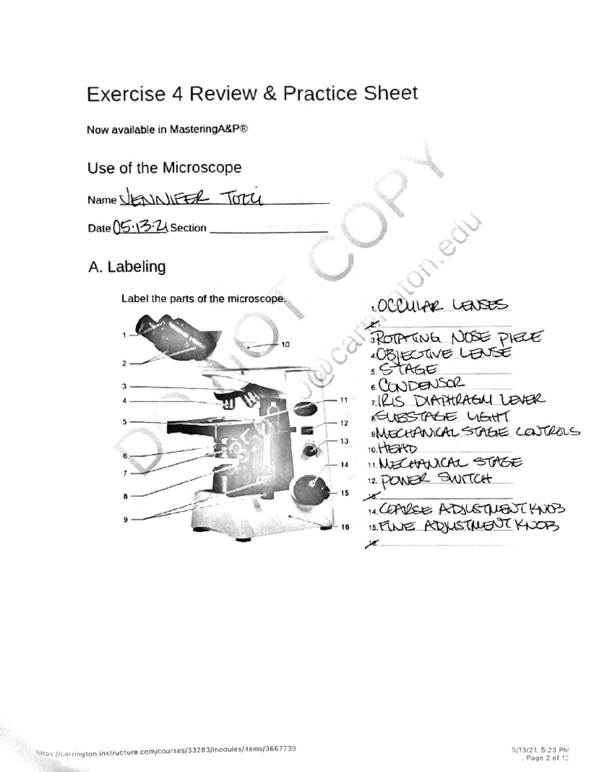A&P Lab 4 use of microscope - BIO 173 - Studocu