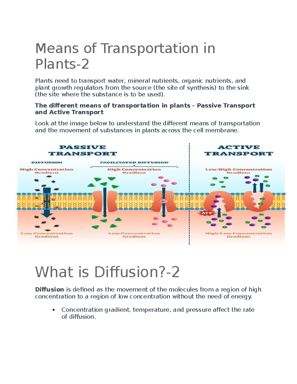 Module 3 Notes - Transport in Plants - Means of Transportation in ...
