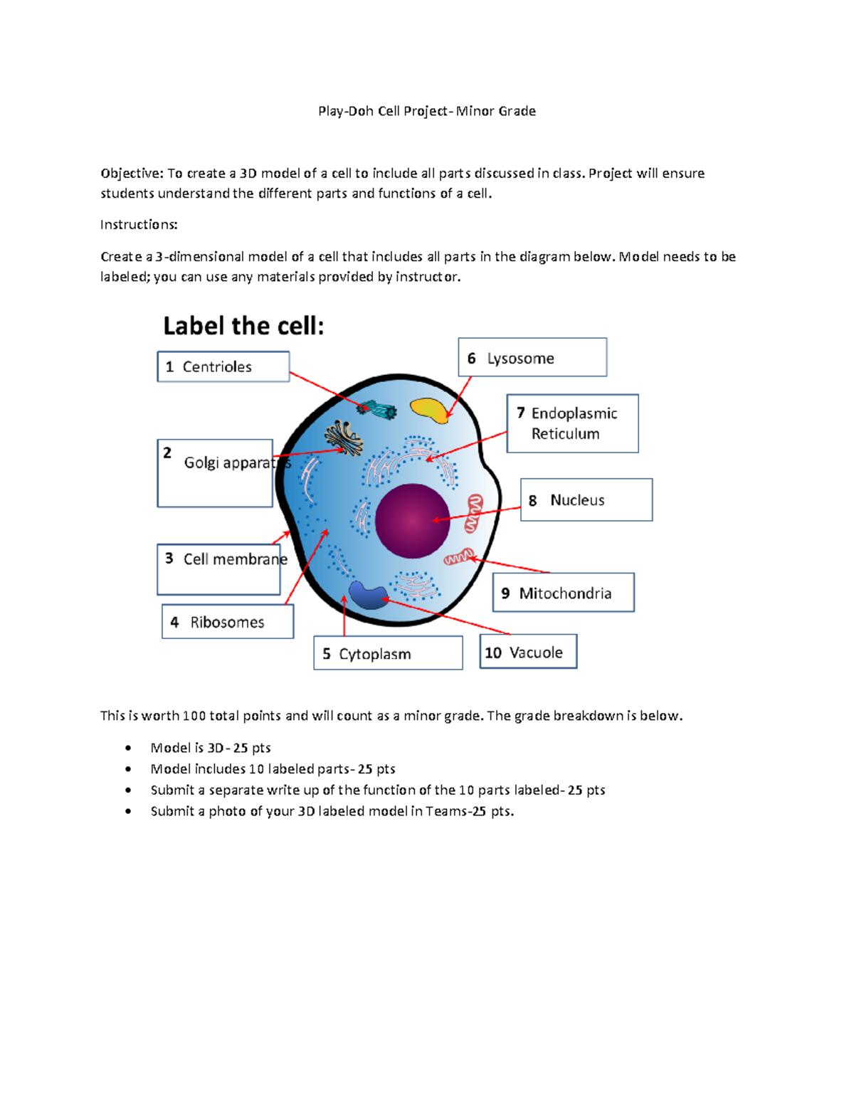 3D Cell Project - Biological stuff - Play-Doh Cell Project- Minor Grade ...