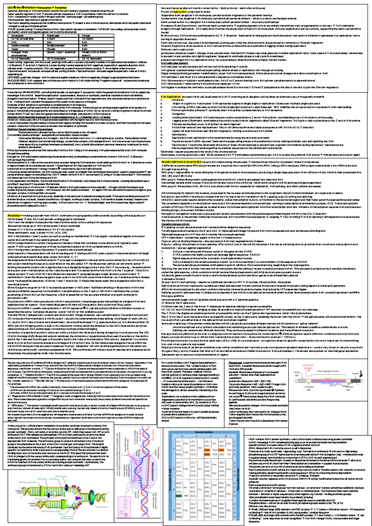 Cheat Sheet - Final EXAM - v DNA Genome à RNA: entire set of DNA à ...