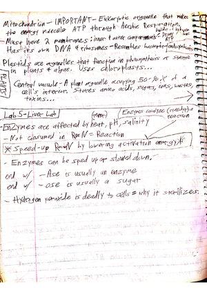 Bio 101 Class Notes Cyclic and Non Cyclic Pathways - Bioquímica ...