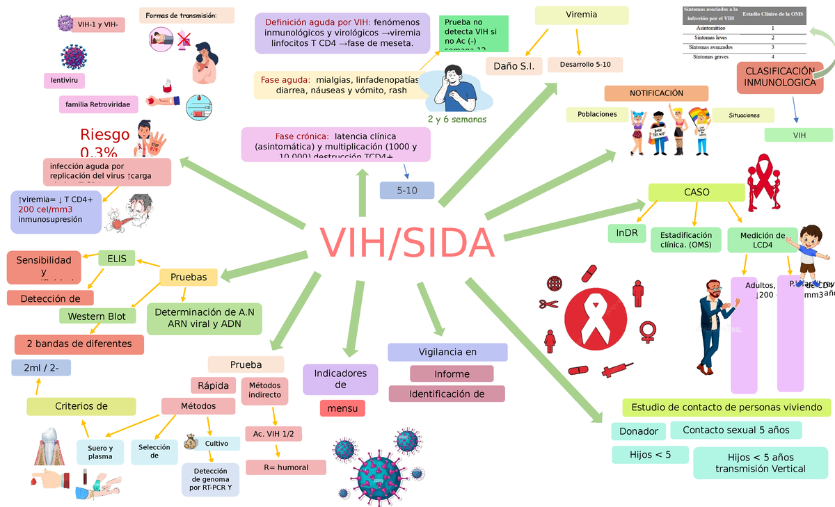 Mapa mental VIH - VIH/SIDA VIH-1 y VIH- 2 Riesgo 0% Definición aguda por VIH: fenómenos - Studocu