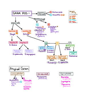 Lecture 14 bio - Covid Lecture 14 Notes Provide an overview of the ...