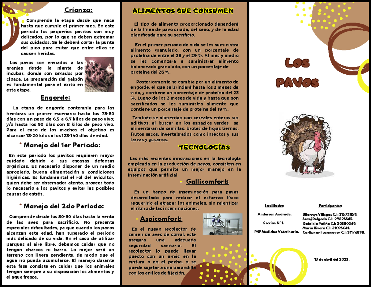 Tríptico de Los Pavos - Participantes: Uliannys Villegas C: 31572859 ...