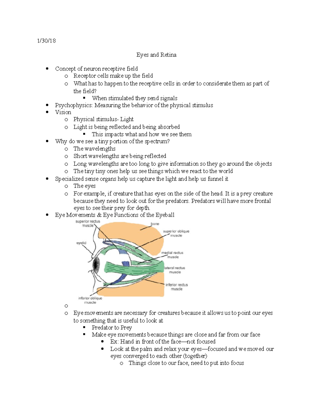 Eyes and Retina - 1/30/18 Eyes and Retina Concept of neuron receptive ...