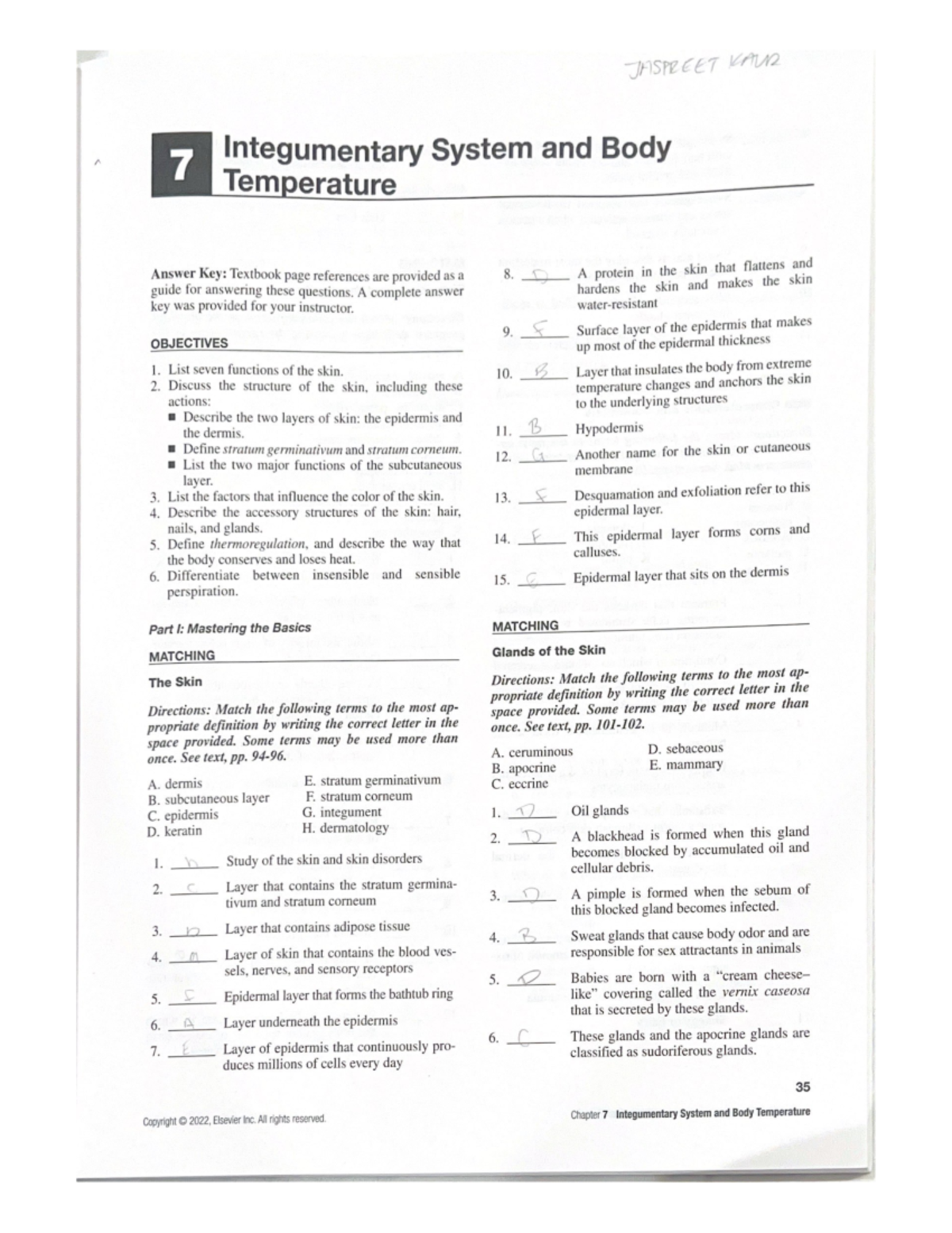A&P Ch7Study Guide - 101 - Studocu