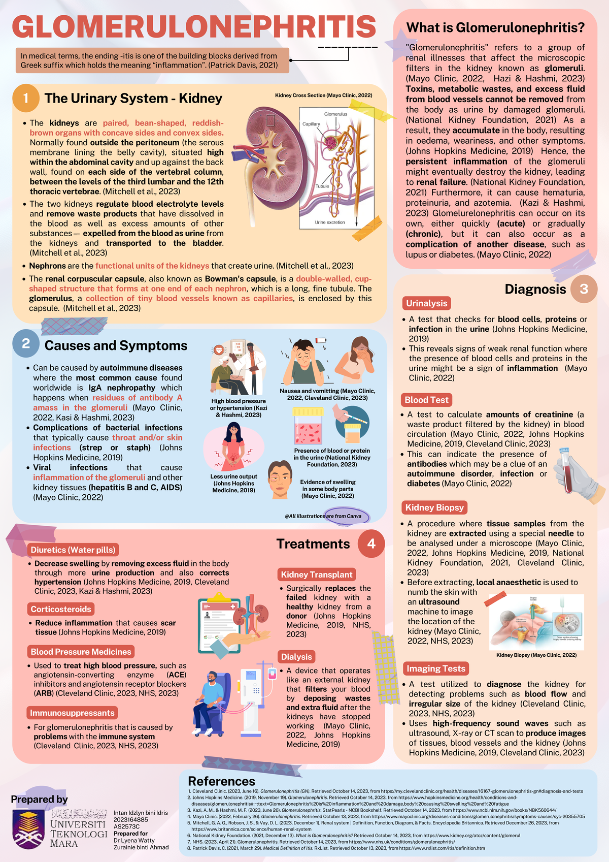Glomerulonephritis - Diagnosis 3 Treatments 4 In medical terms, the ...