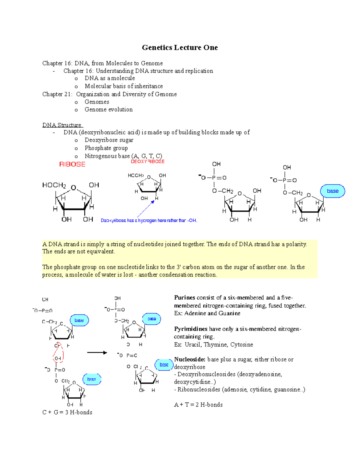 Genetics UNIT ONE - notes in class/txt - Genetics Lecture One Chapter ...