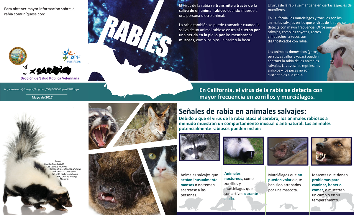 Rabies imagen - RABIA - Para obtener mayor información sobre la rabia ...