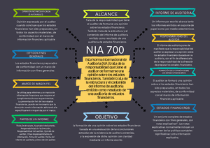 NIA 610 - NIA - NORMA INTERNACIONAL DE AUDITORÍA 610 USO DEL TRABAJO DE ...
