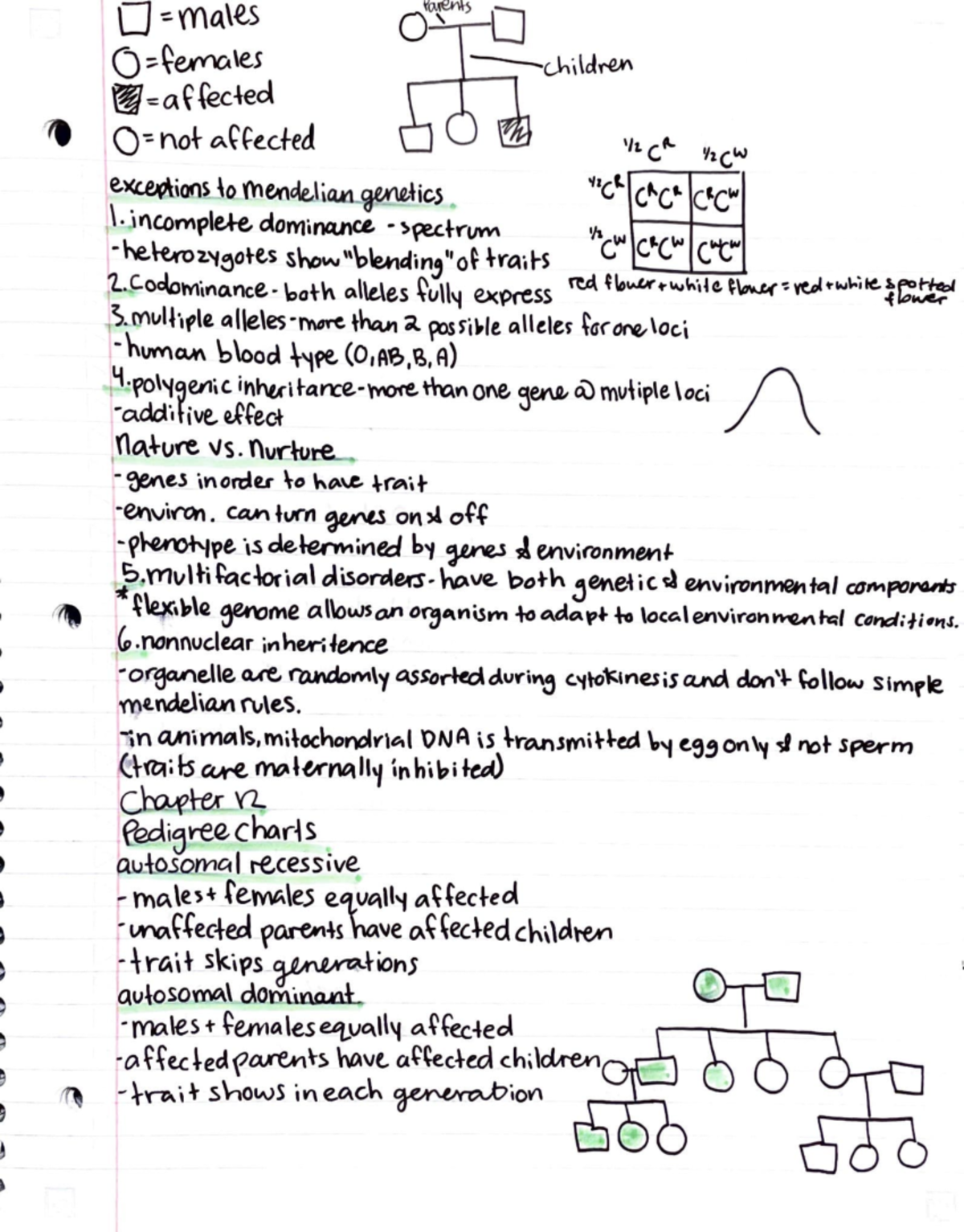 AP Bio Chapters 12 and 13 - Q-::cffio.\tS 0:::-~~\es ~::C\Heded ,0 ...