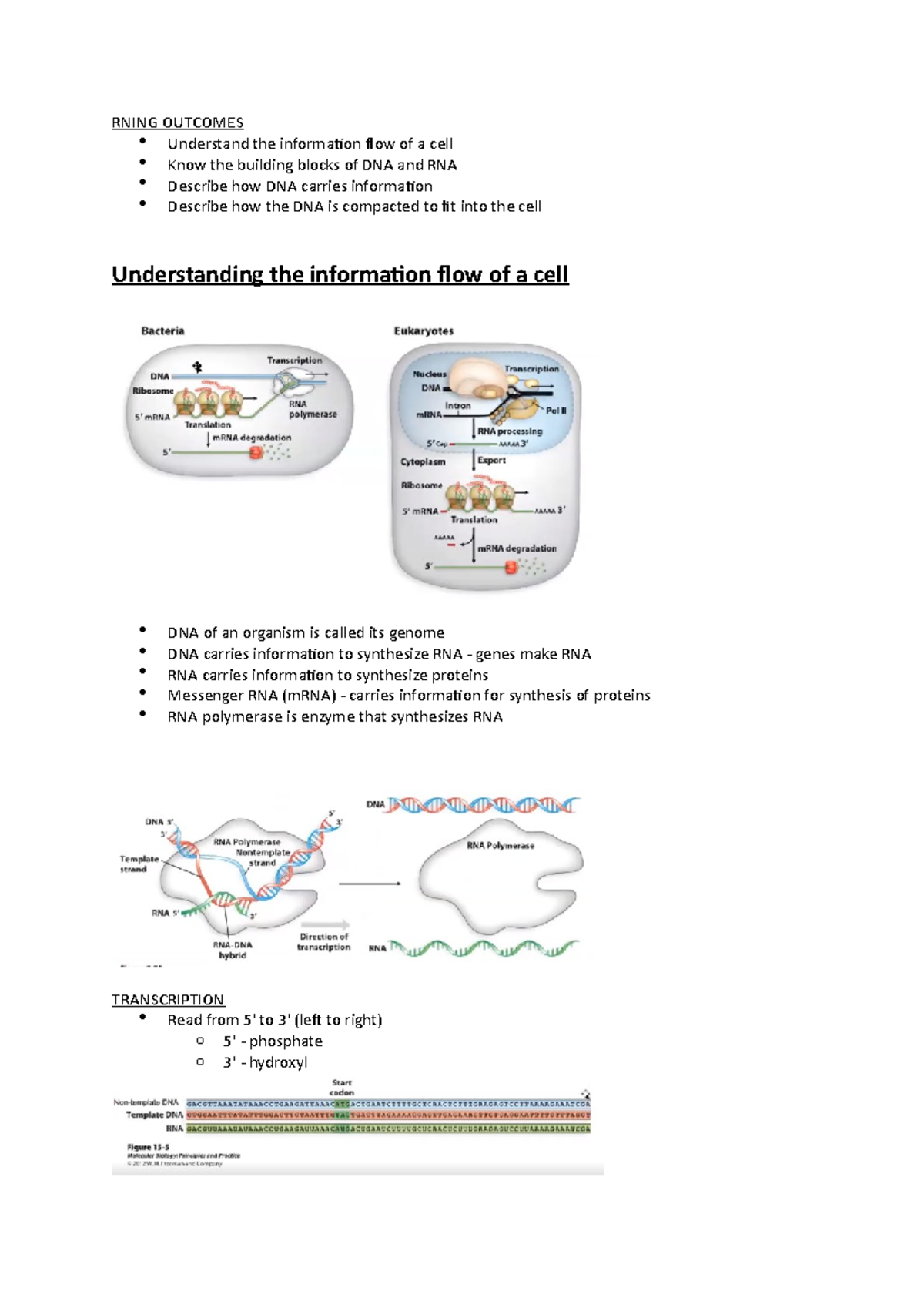 Week 5 - Lecture notes 5 - RNING OUTCOMES Understand the information ...