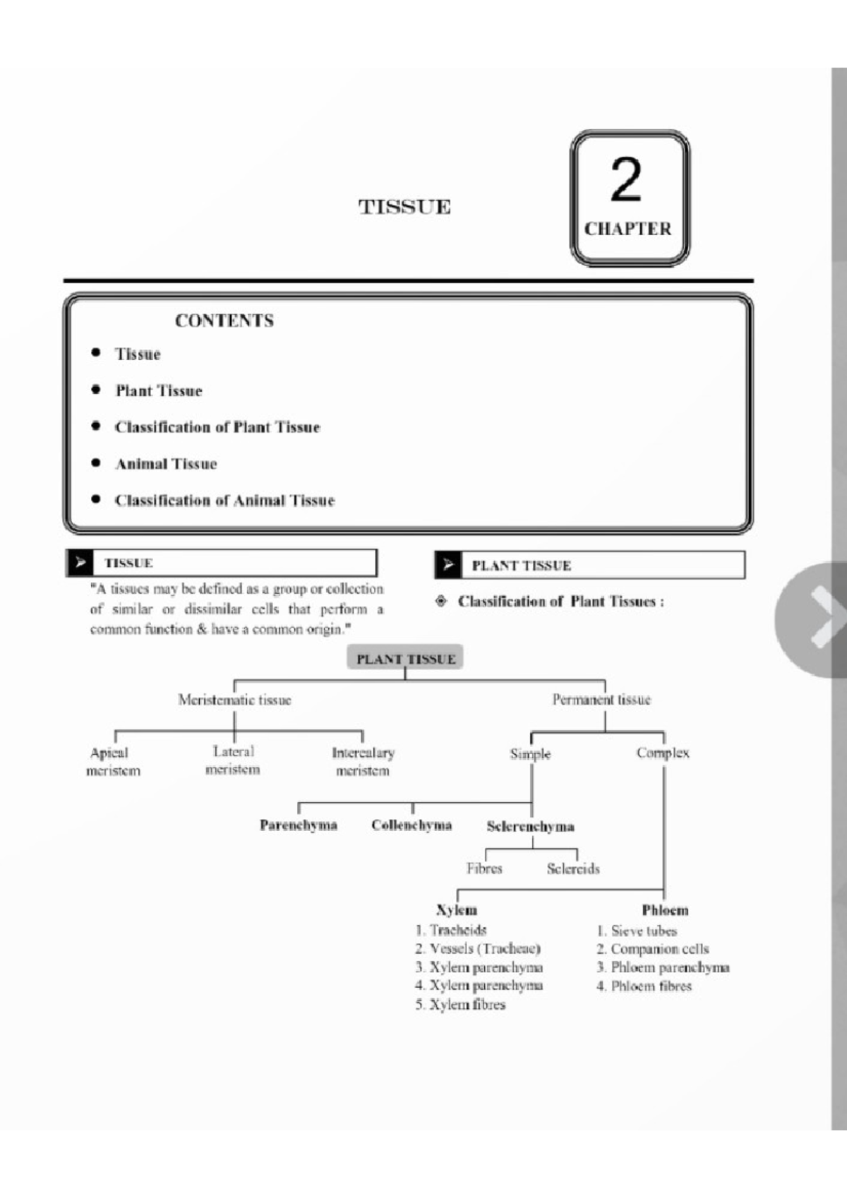 Class 9 bio chapter 2 notes - Biology Class 12 - Studocu