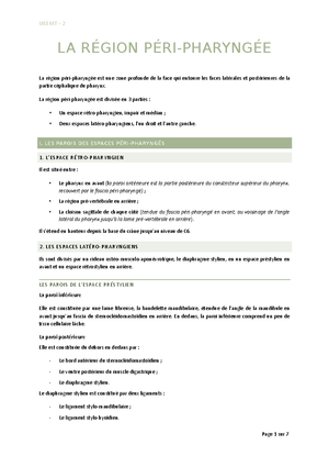 03espace rétrostylien + supra hyoidienne - Contenu de l’espace ...