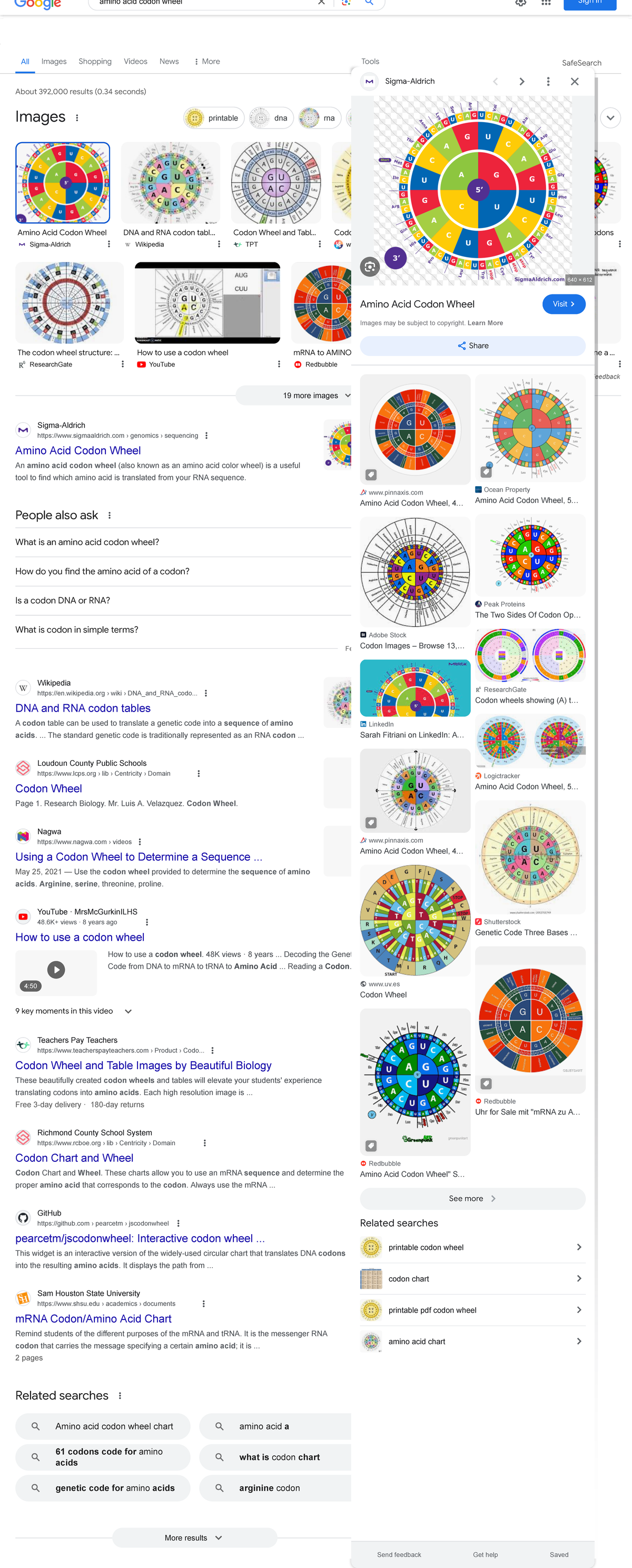 Amino acid codon wheel - Google Search - All Images Shopping Videos ...