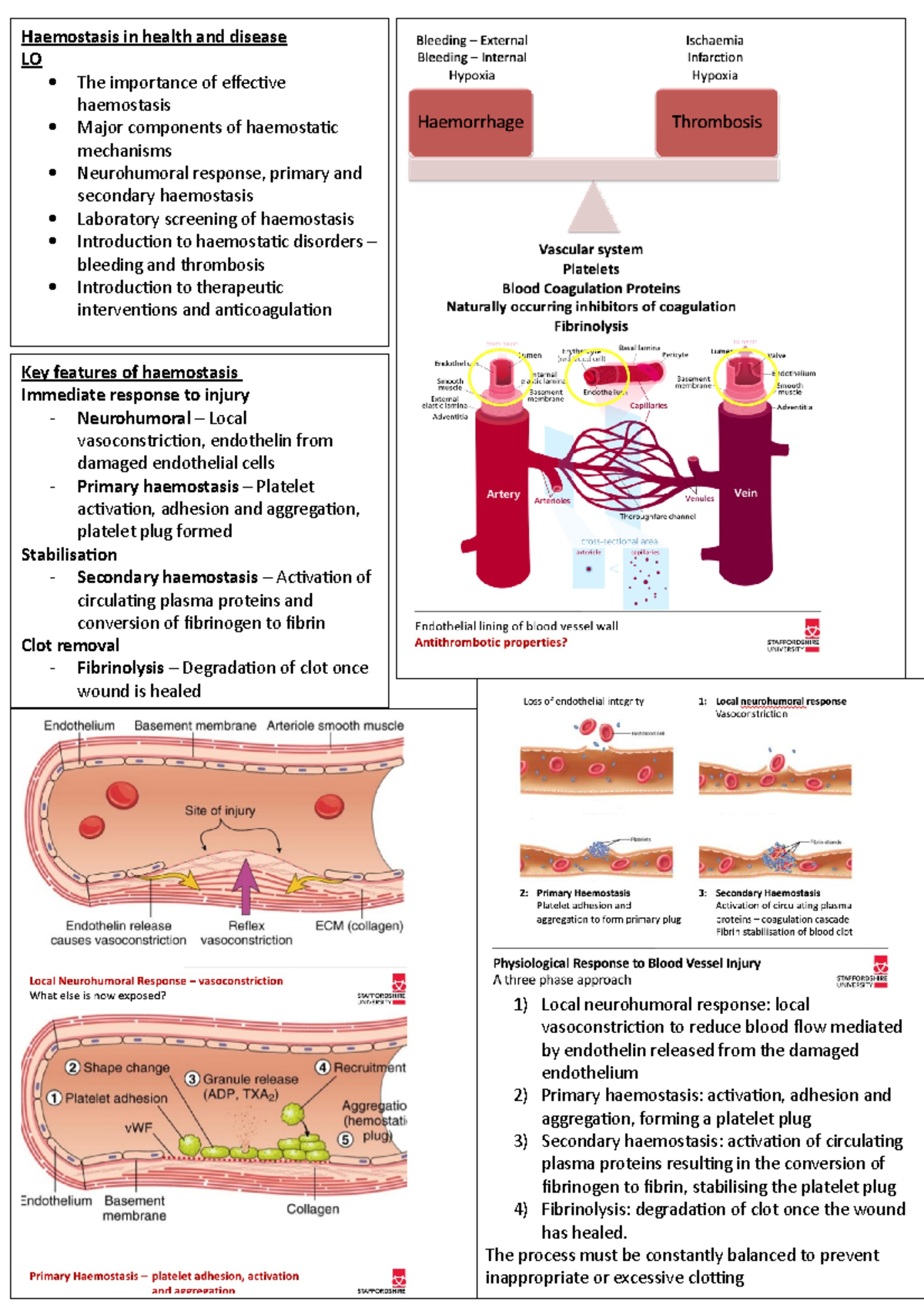 Week 10 lecture 9 haemostasis - Local neurohumoral response: local ...