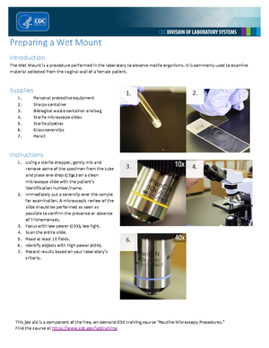 Lab 03 - sdfgbn - LAB 3 Bacterial Staining Techniques II I ...