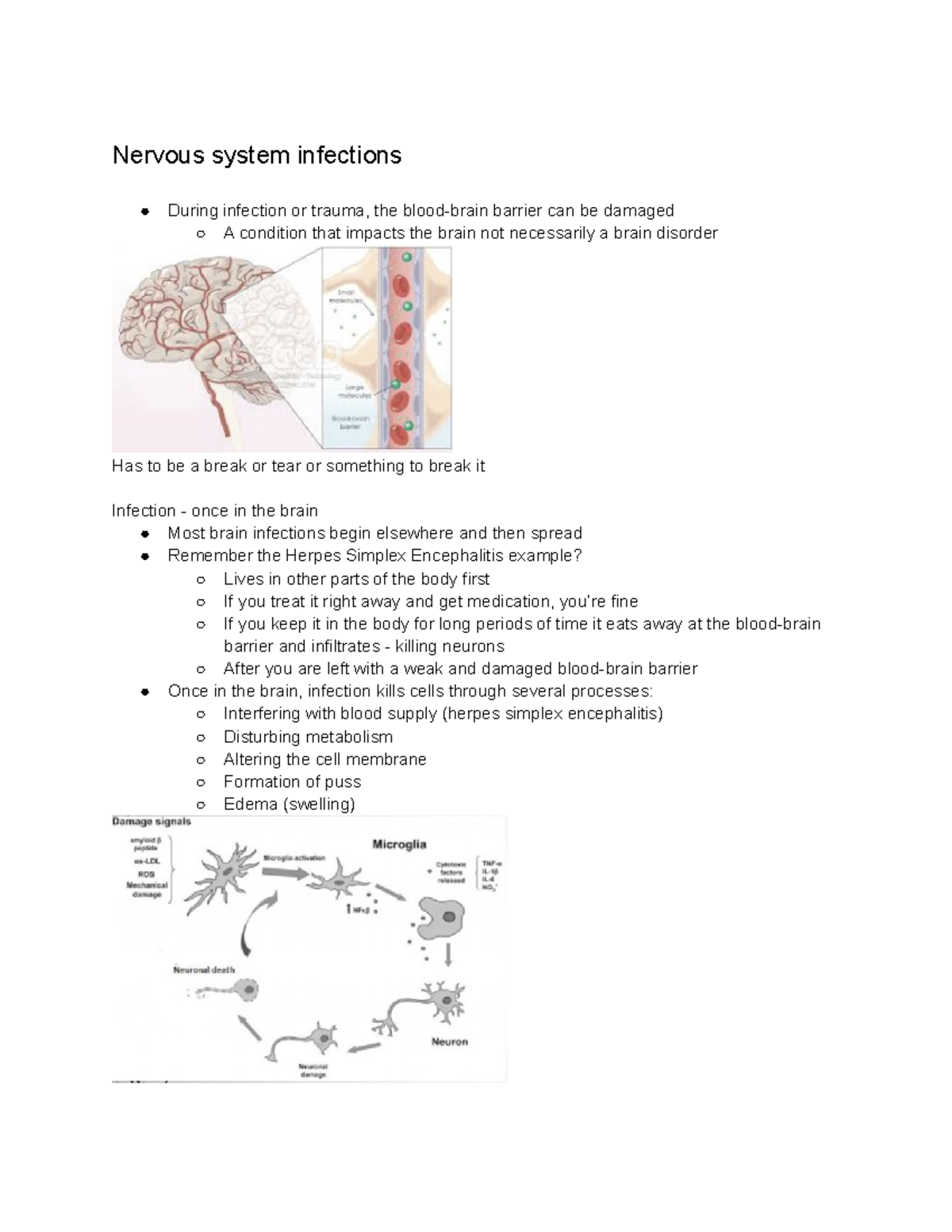 Human Neurospychology - Neurological Disorders Nervous System ...