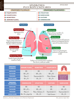 Faringo - guia de practica clinica - Guía de Referencia Rápida ...