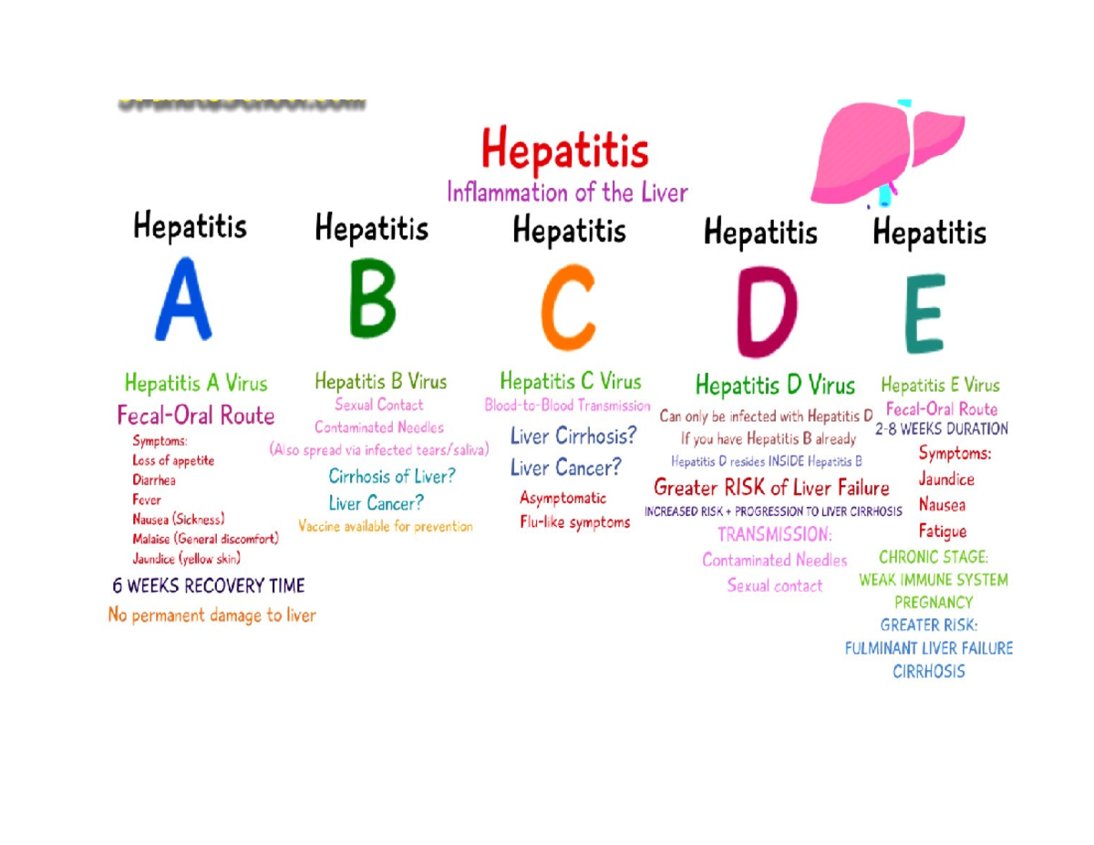 Hepatitis picture diagram - MLT 227L - Studocu