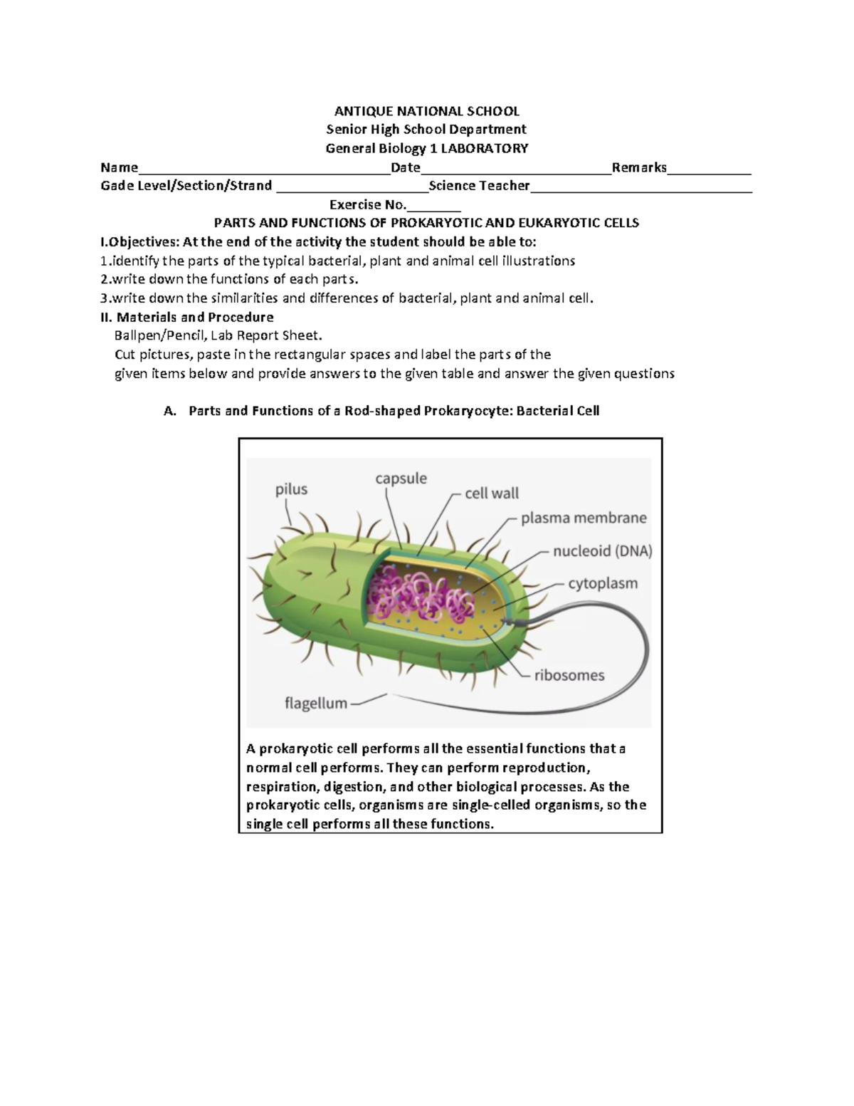 Lab Activity 3 in GB 1 parts function of Prokaryotic and Eukaryotic ...
