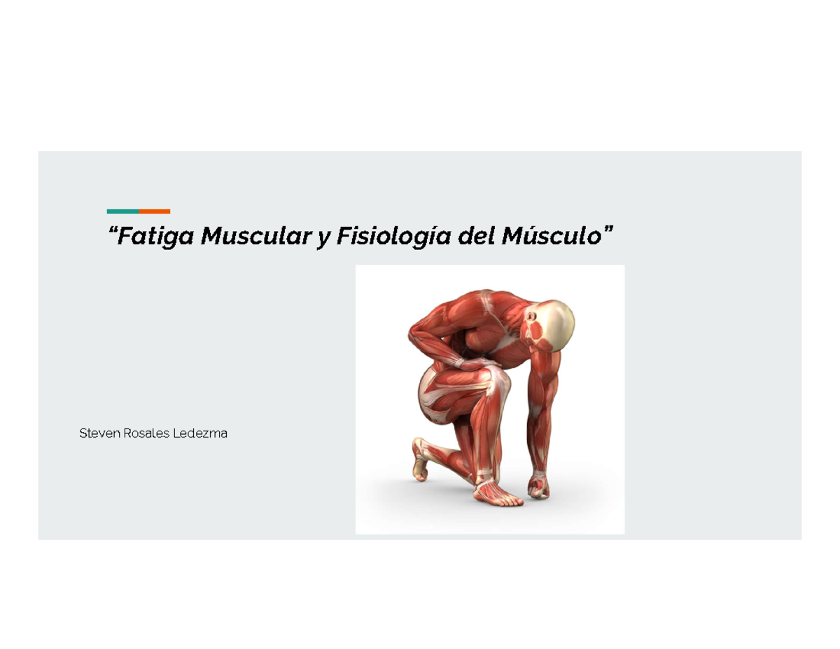 Fatiga muscular - Analizar los diferentes tipos de fatiga muscular, y ...