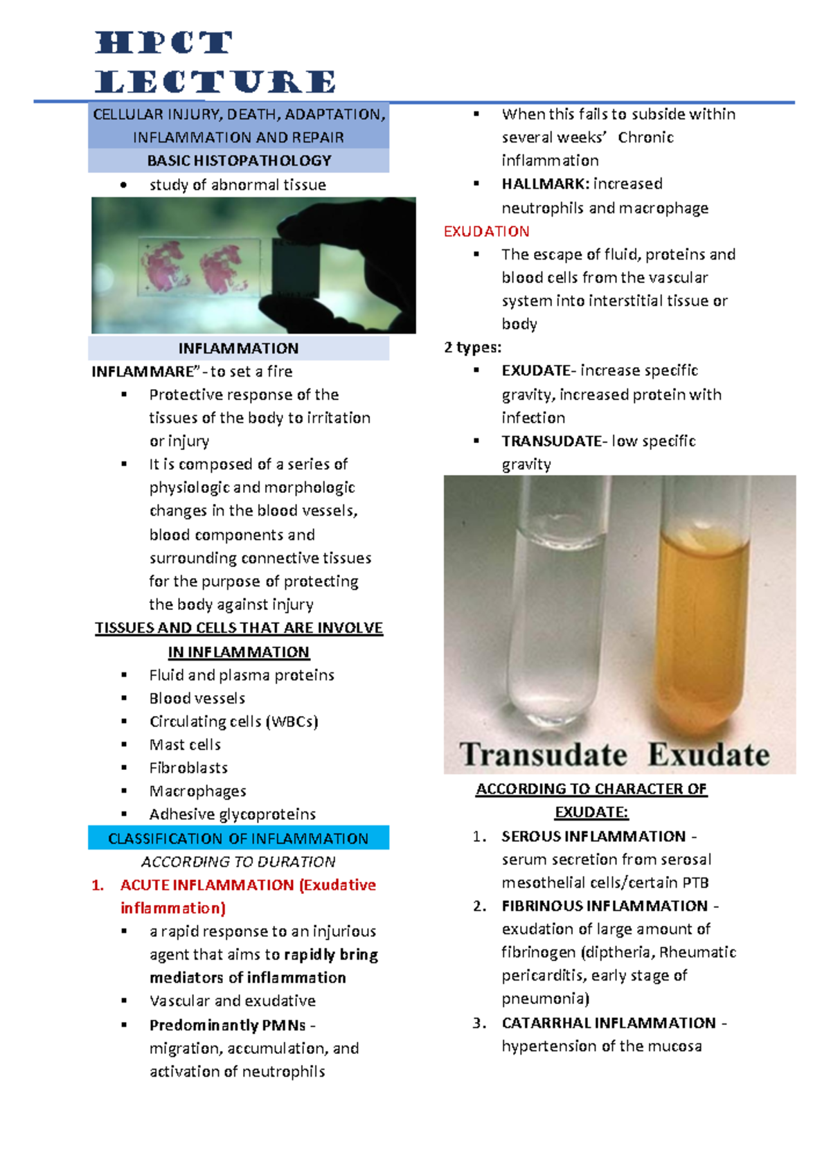 Cellular Injury - OIHH GFTT G D R D YGH - LECTURE CELLULAR INJURY ...
