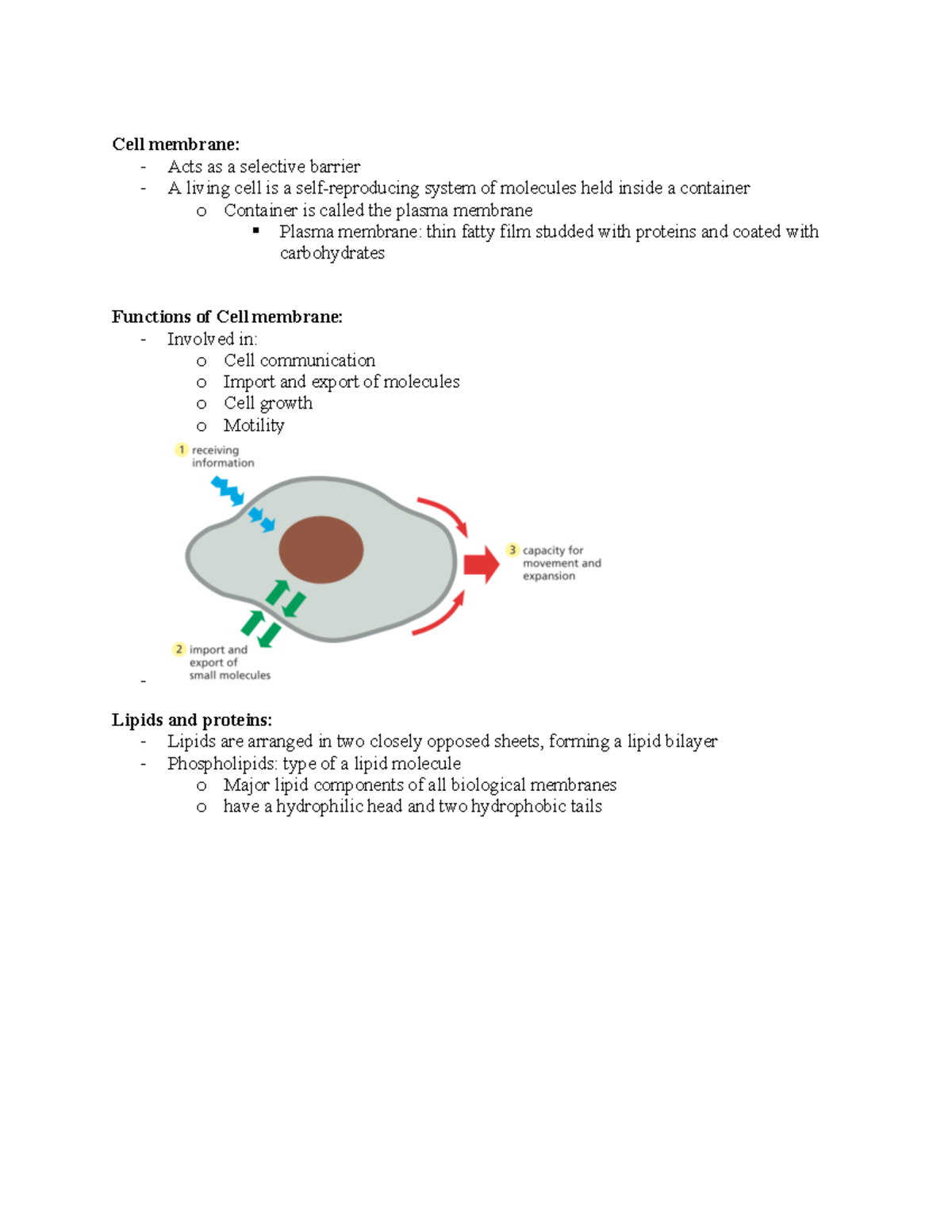 BIO1140-Cell membrane 3 - Cell membrane: - Acts as a selective barrier - A living cell is a ...
