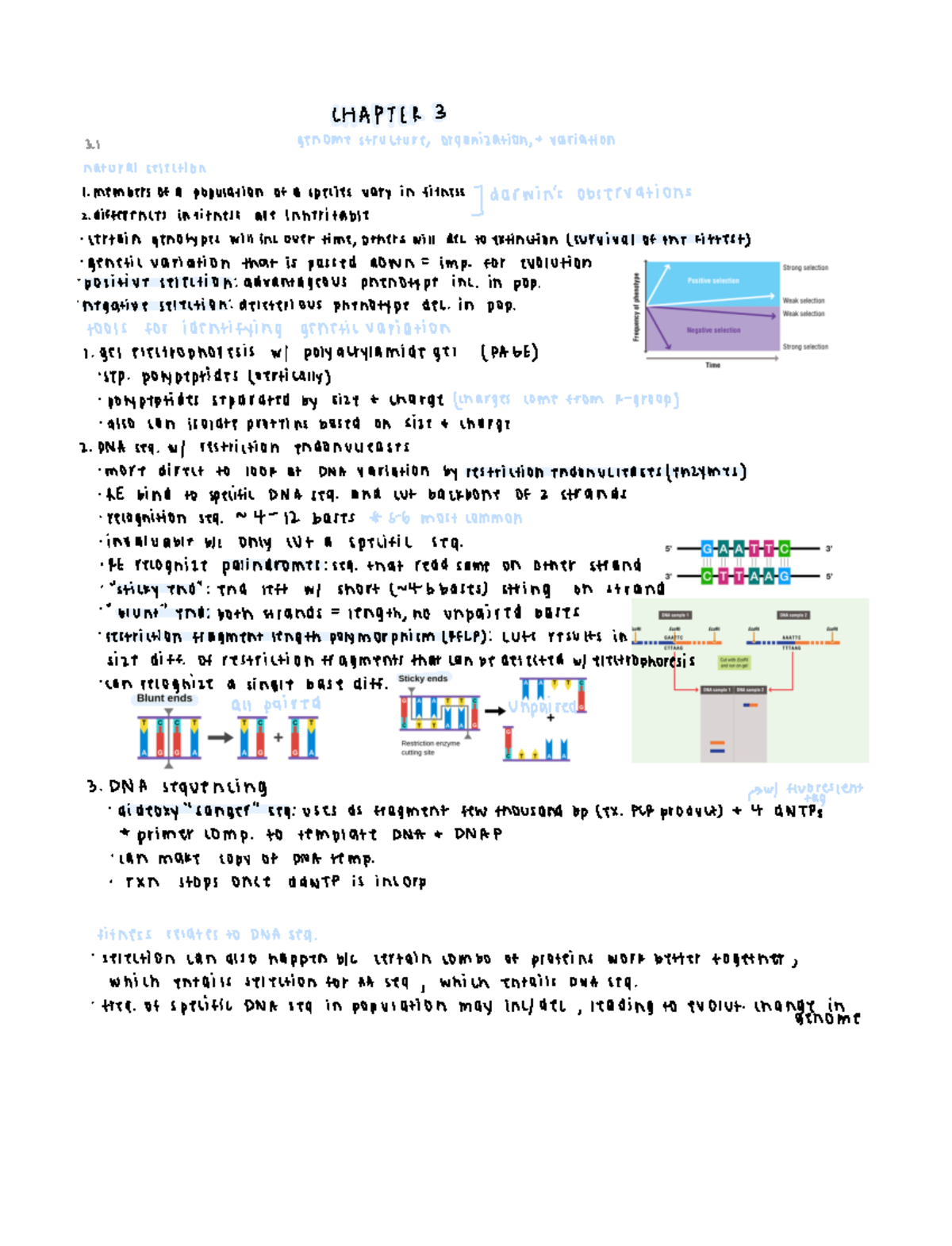 Ch 3 - Ch 3 book notes - customized (condensed) version of Genetics ...