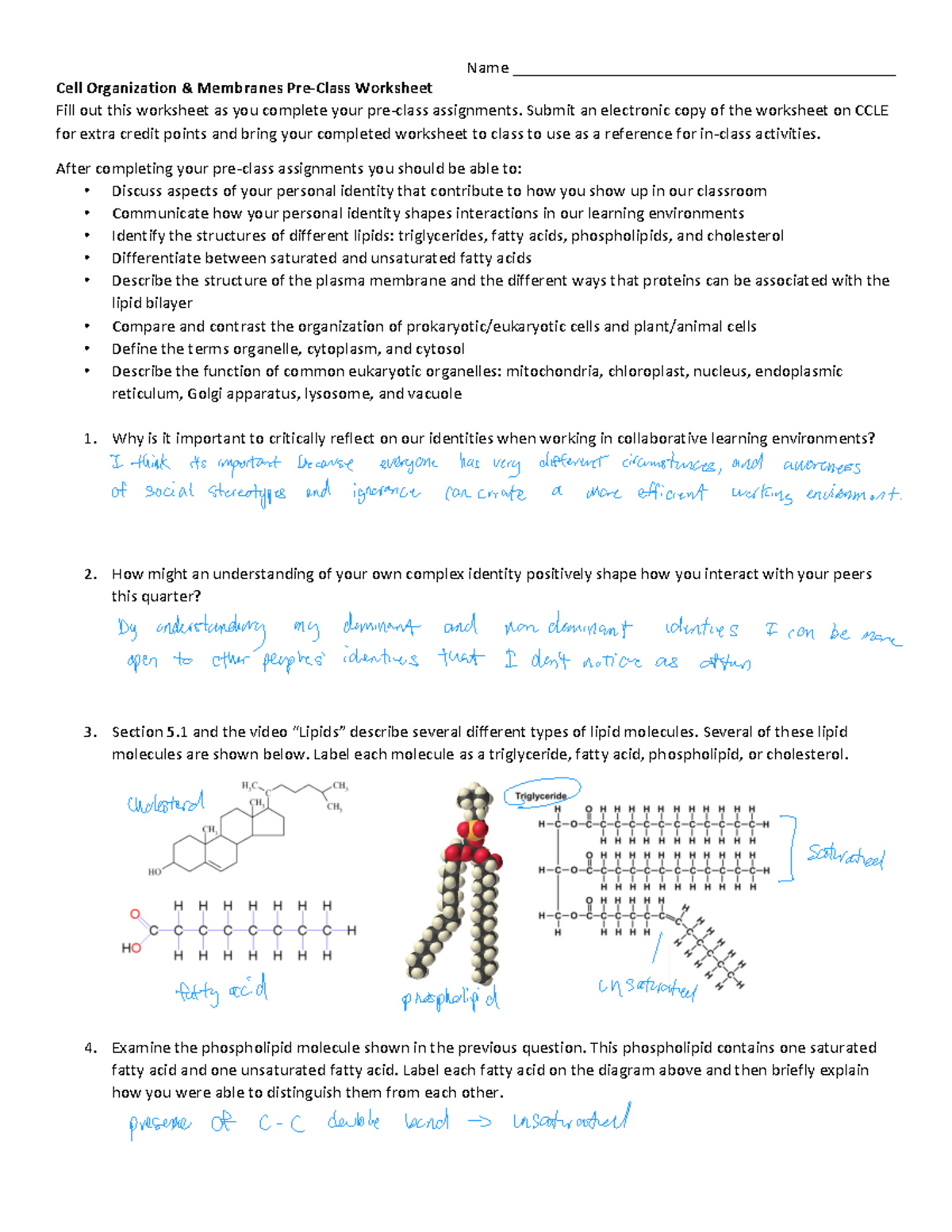 Week 2a Identity 2C Cells 26 Membranes - Name
