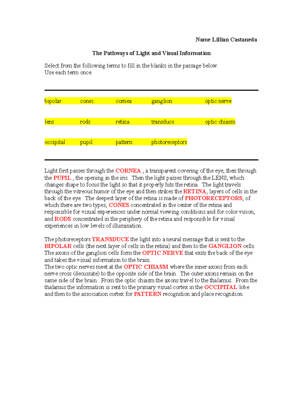 3 Visual pathways worksheet - Lillian Castaneda - Name Lillian ...