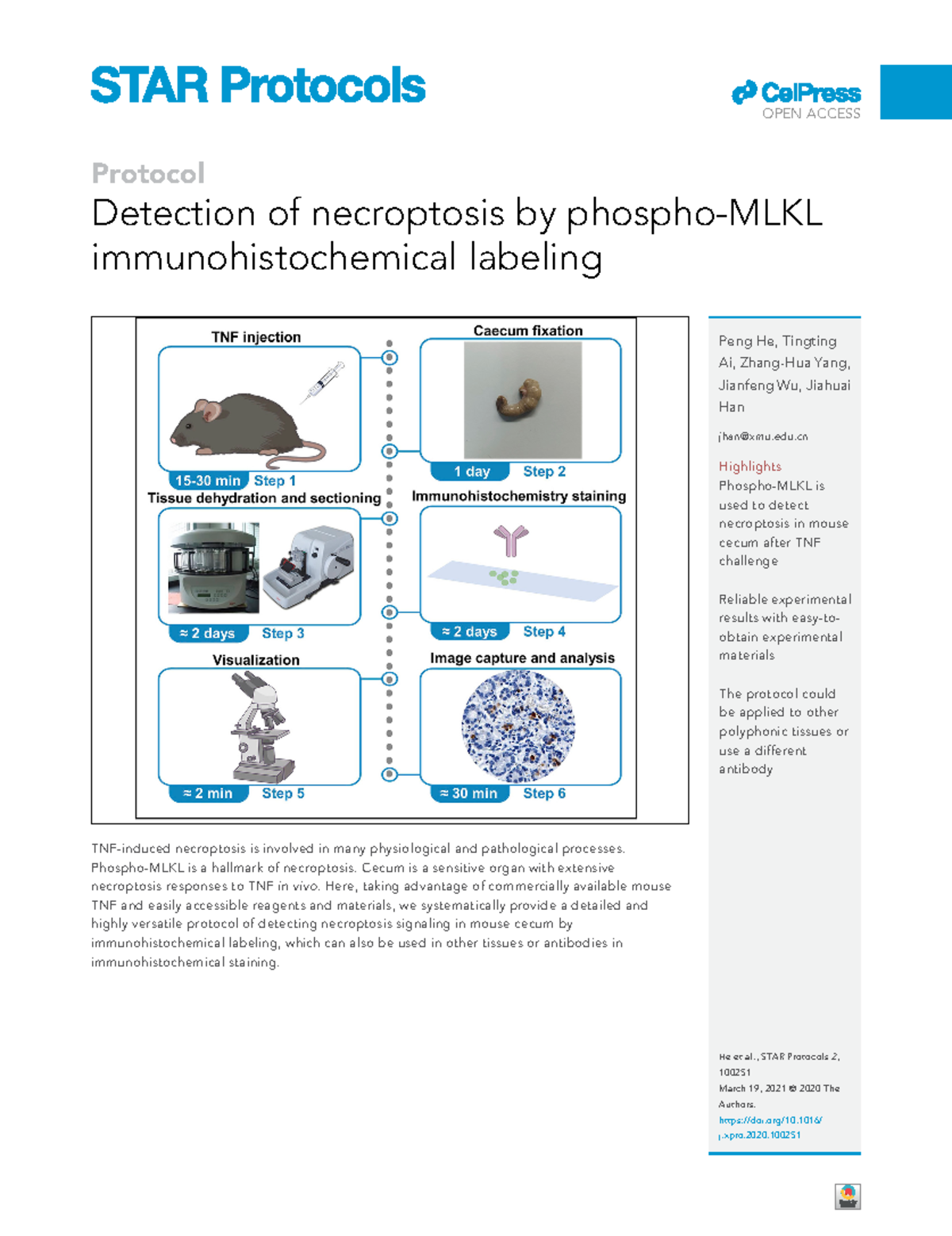 STAR protocal - Nothing - Protocol Detection of necroptosis by phospho ...
