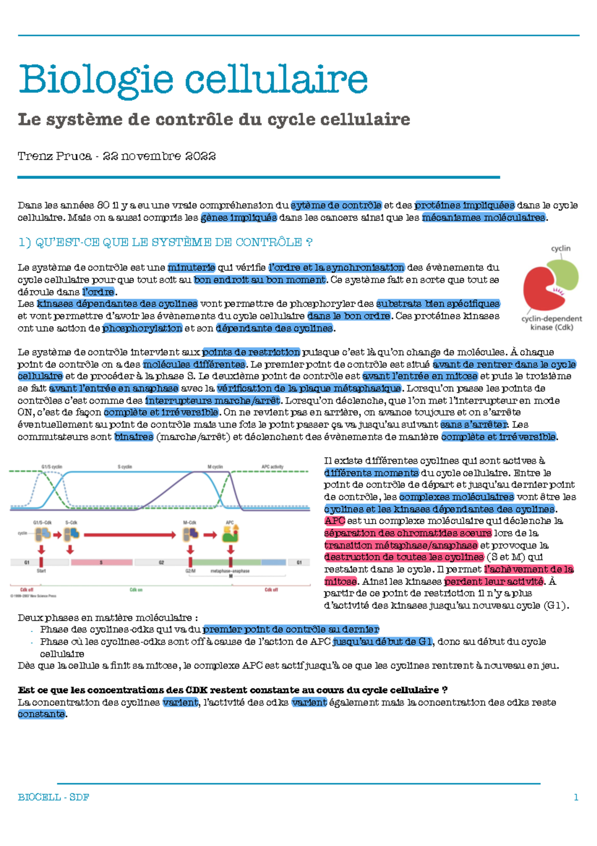 CM2 cycle cellulaire see à imprimer - Biologie cellulaire Le système de ...