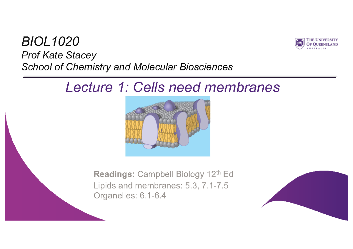 2024 BIOL1020 Lecture 1- 1 per page - Lecture 1: Cells need membranes ...