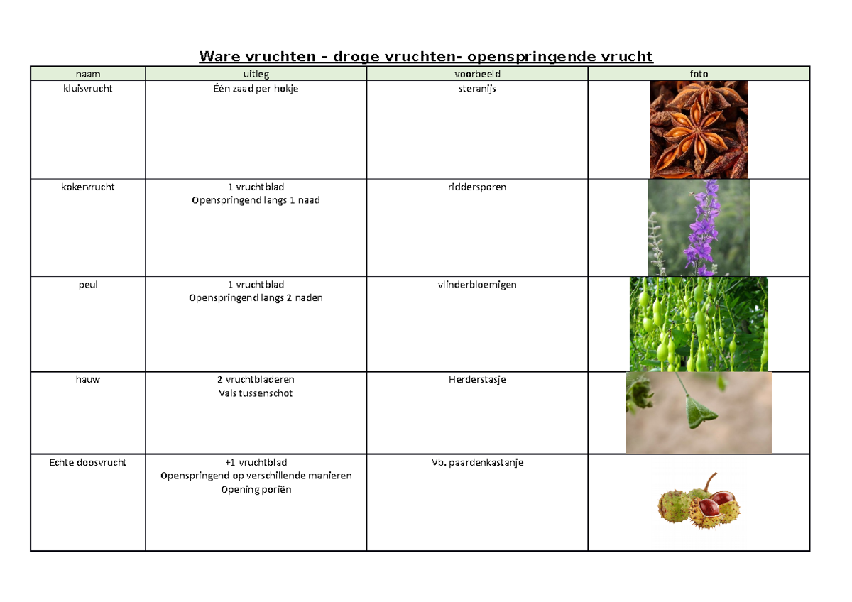 Samenvatting vruchten - Ware vruchten – droge vruchten- openspringende ...