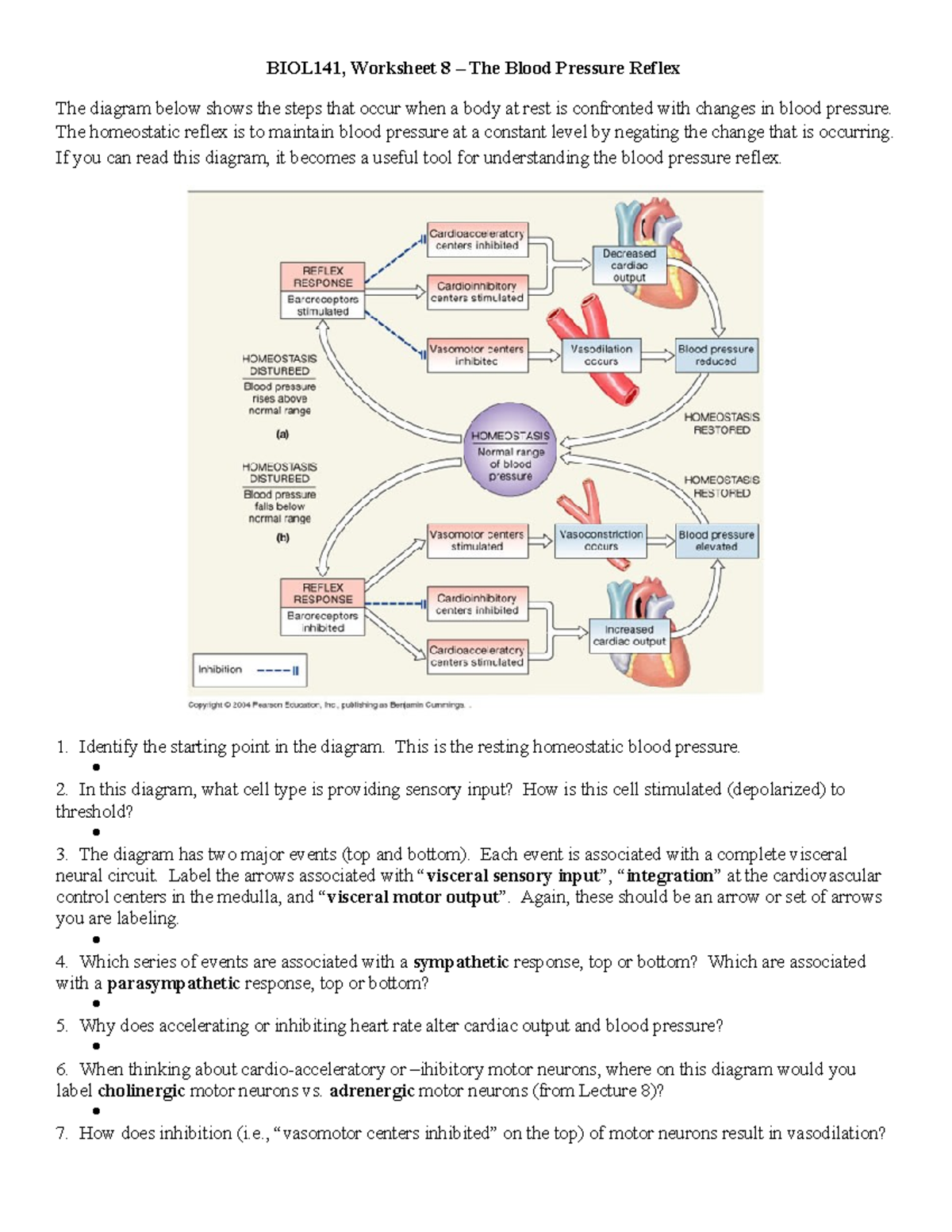 Worksheet 8 - Malcos - BIOL141, Worksheet 8 – The Blood Pressure Reflex ...