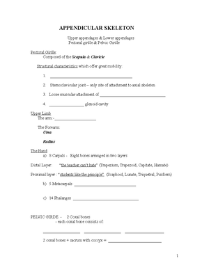 #9- Spinal cord outline - Nerve: bundle of axons wrapped in connective ...