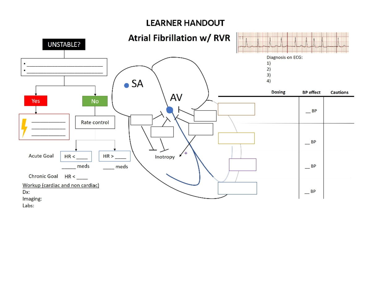 Learner-Handout-Doc - atrial fibrillation - RTT 11002 - LEARNER HANDOUT ...