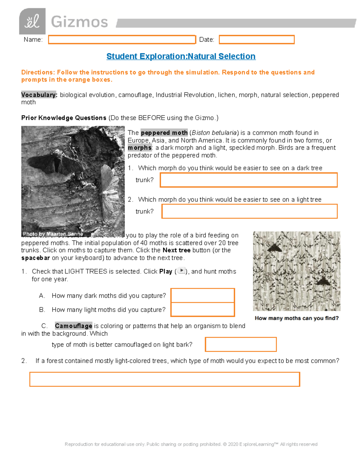 Natural Selection SE Name Date Student Exploration Natural natural-selection-se-name-date-student-exploration-natural