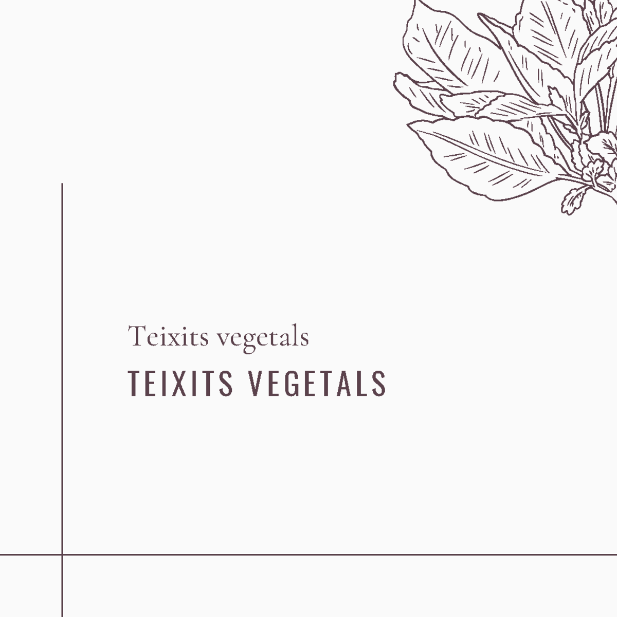 Teixits vegetals - Els histògens són teixits meristemàtics i deriven tant del SAM com del RAM ...