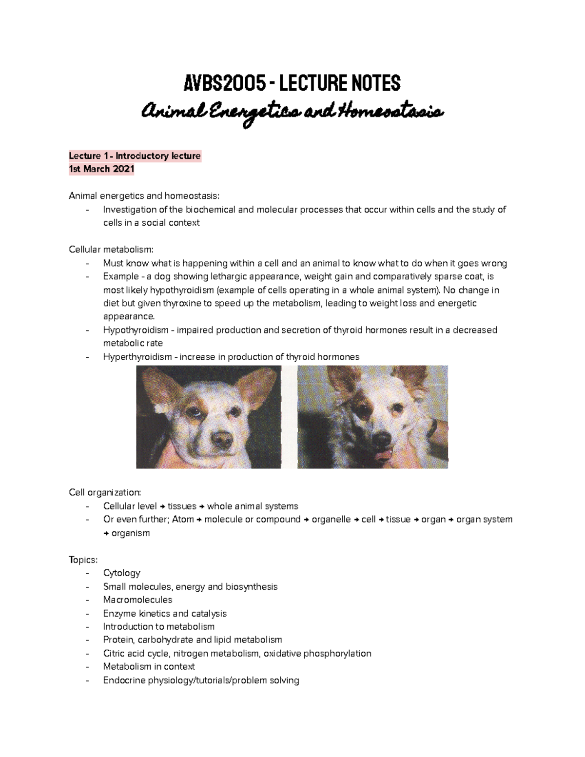 AVBS2005 - Lecture Notes - AVBS2005 - LECTURE NOTES Animal Energetics ...