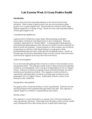 Lab Week 7 Final - LAB EXERCISE WEEK 7: ENTEROBACTERIACEAE I ...