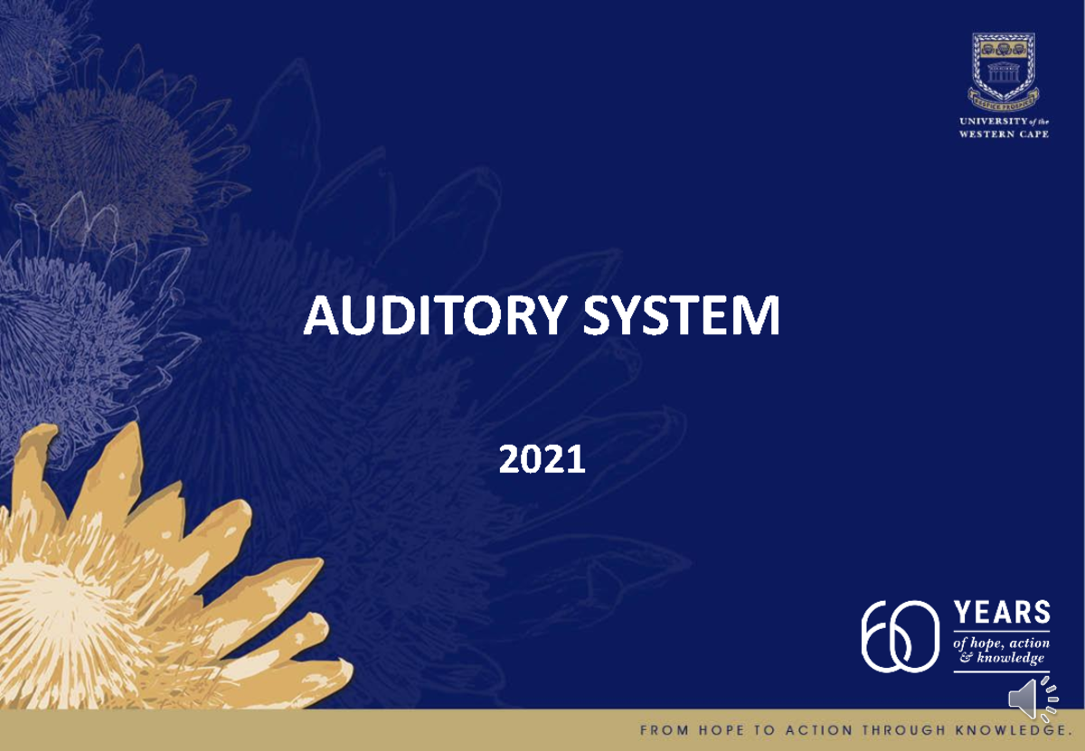 Auditory+System+PDF+version - AUDITORY SYSTEM 2021 Introduction to the ...