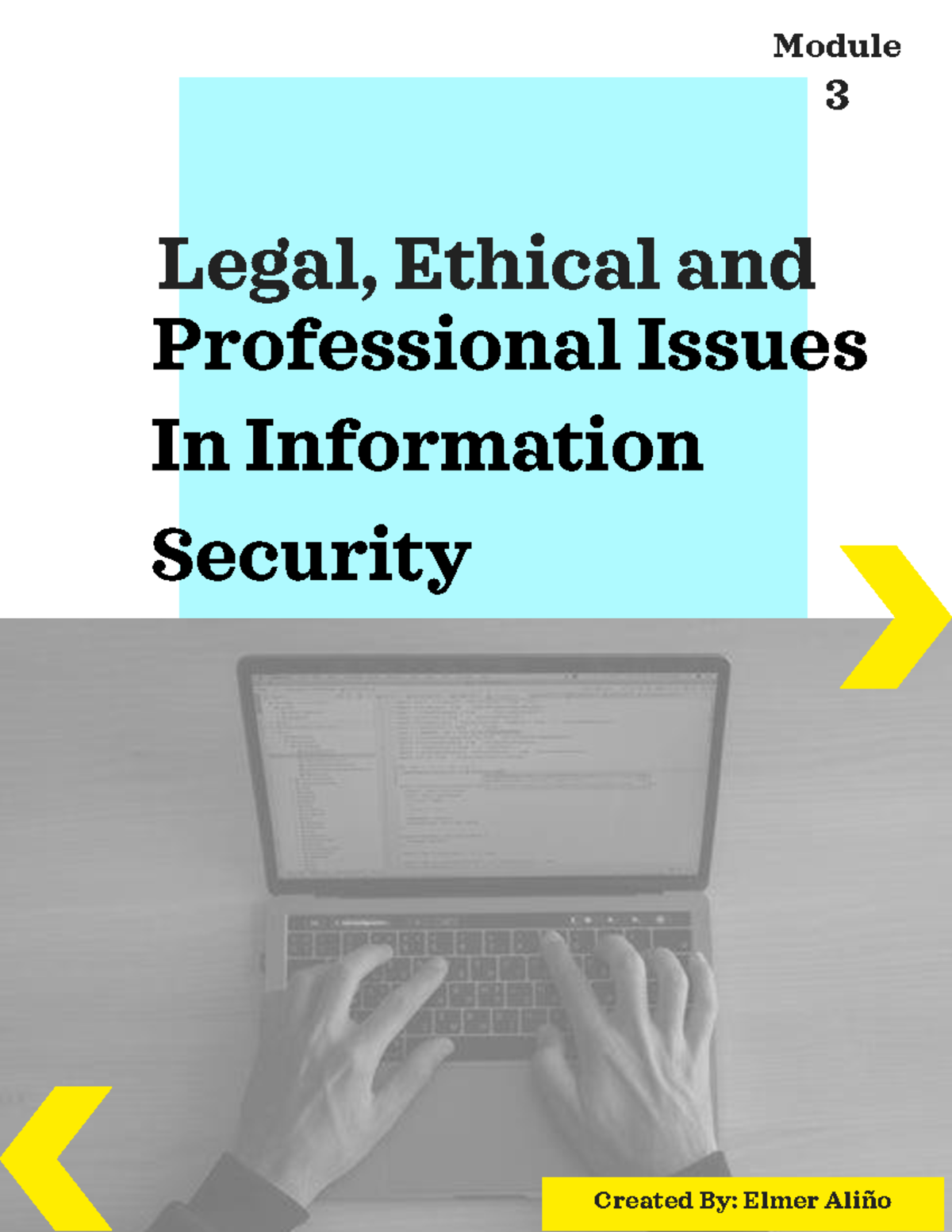 ITEC85 Module 3 - Legal, Ethical and Professional Issues In Information ...
