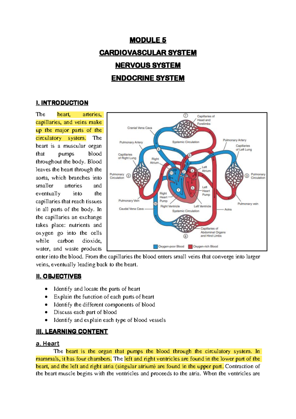 Module 5 APFA - MODULE 5 CARDIOVASCULAR SYSTEM NERVOUS SYSTEM ENDOCRINE ...