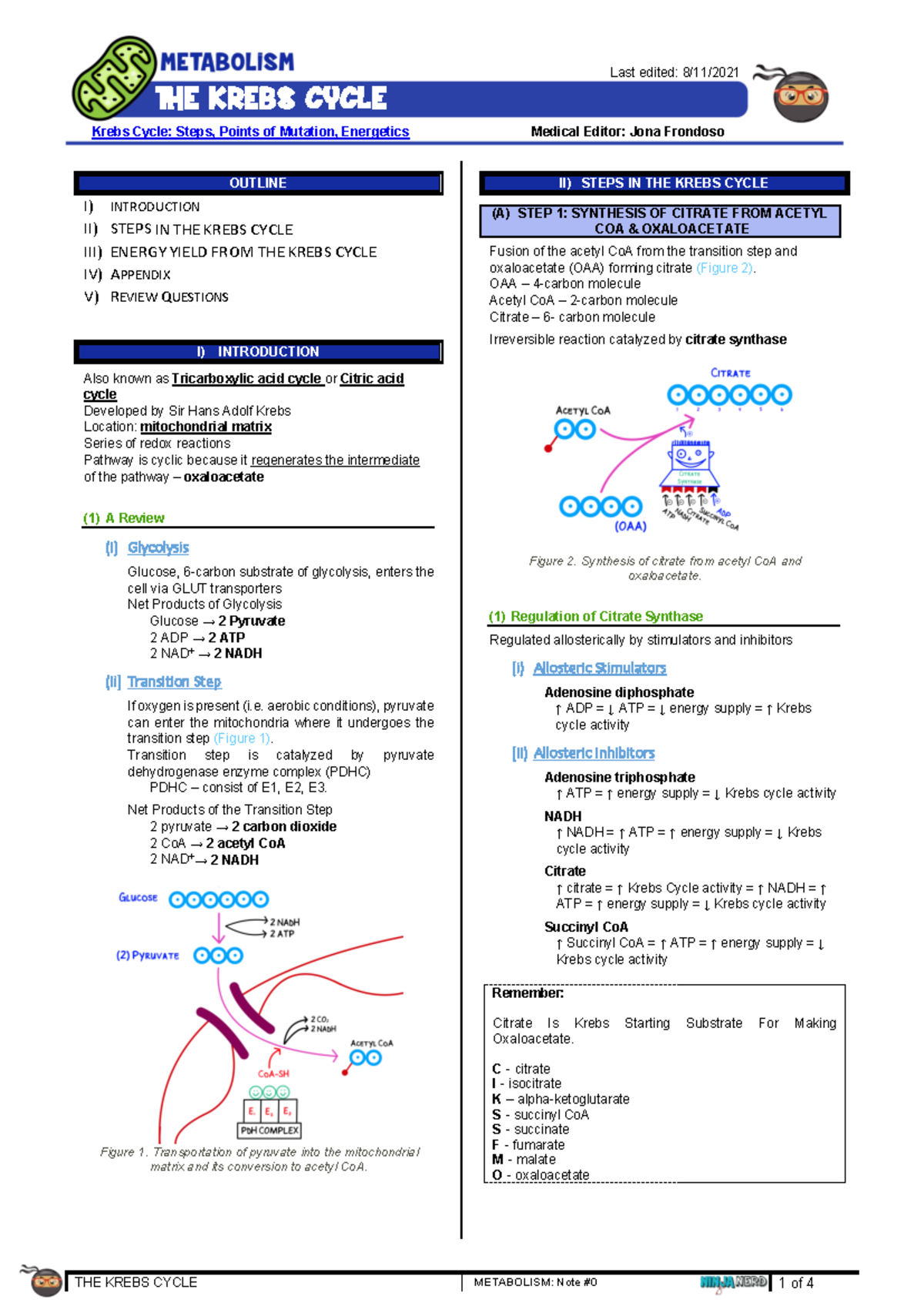 3. The Krebs Cycle - Metabolism - THE KREBS CYCLE METABOLISM: Note # 0 1 of 4 THE KREBS CYCLE ...