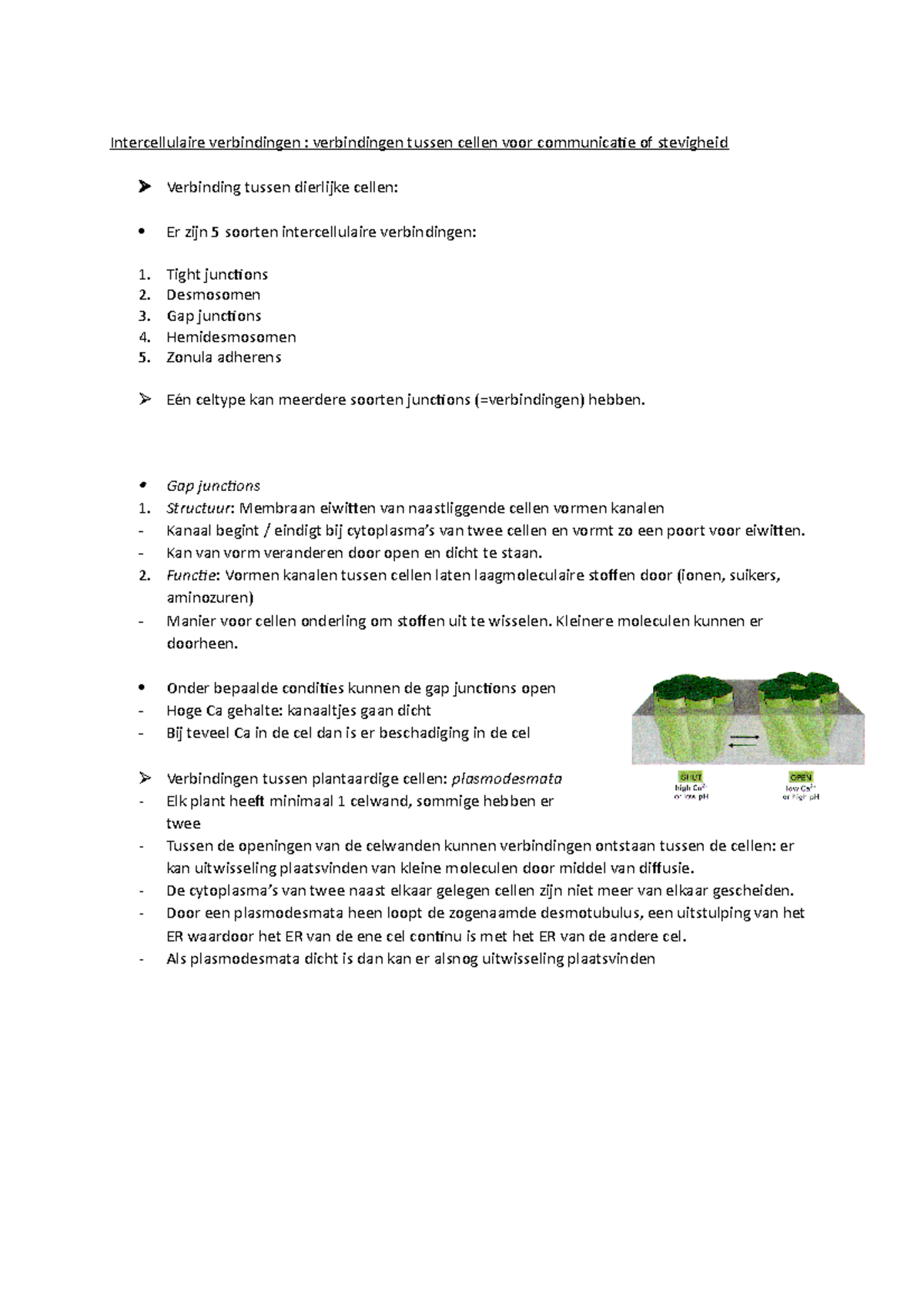College 6 - Intercellulaire verbindingen : verbindingen tussen cellen ...