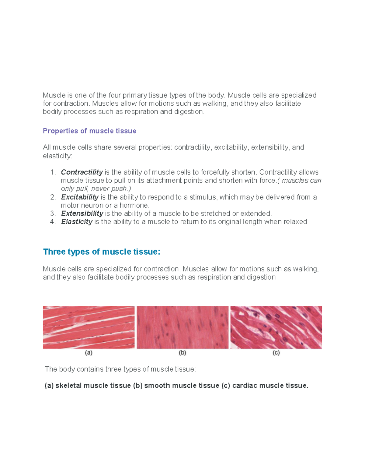 Note on Muscles - Muscle is one of the four primary tissue types of the ...