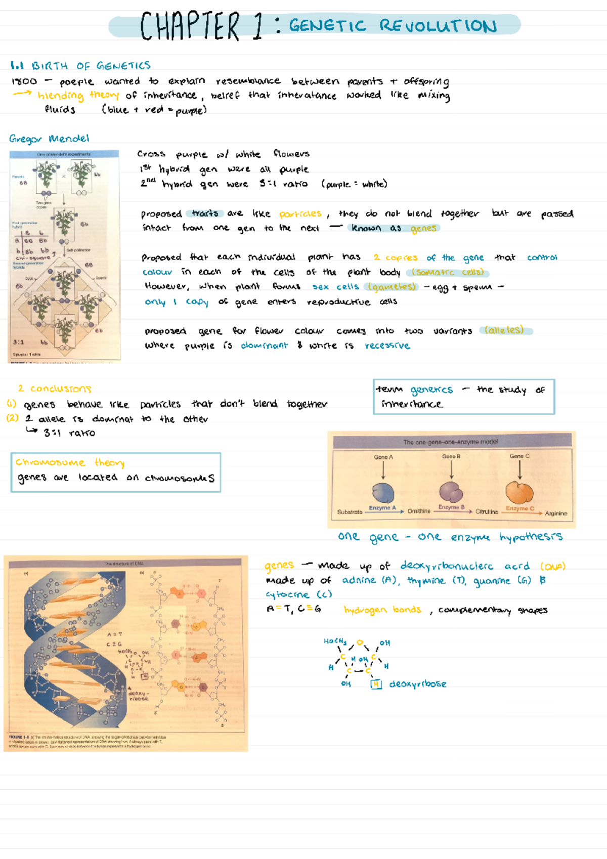 Chapter 1 The Genetic Revolution - Biology of Domestic Animals ...
