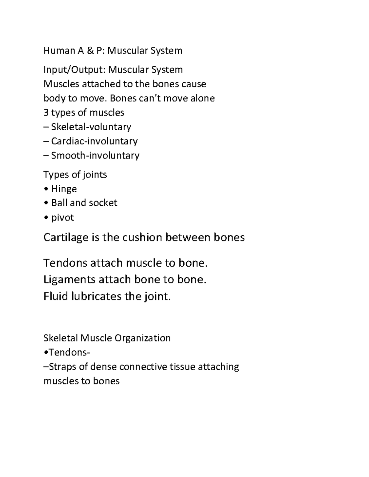 Document 37 (34) - lecture notes - Human A & P: Muscular System Input ...